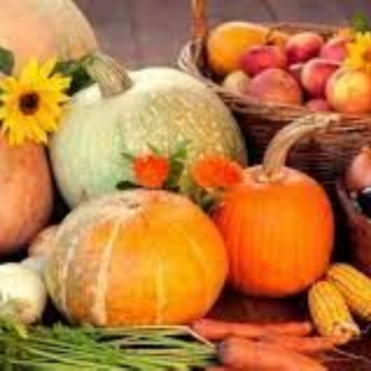 Grendon Primary - Harvest Festival 2023